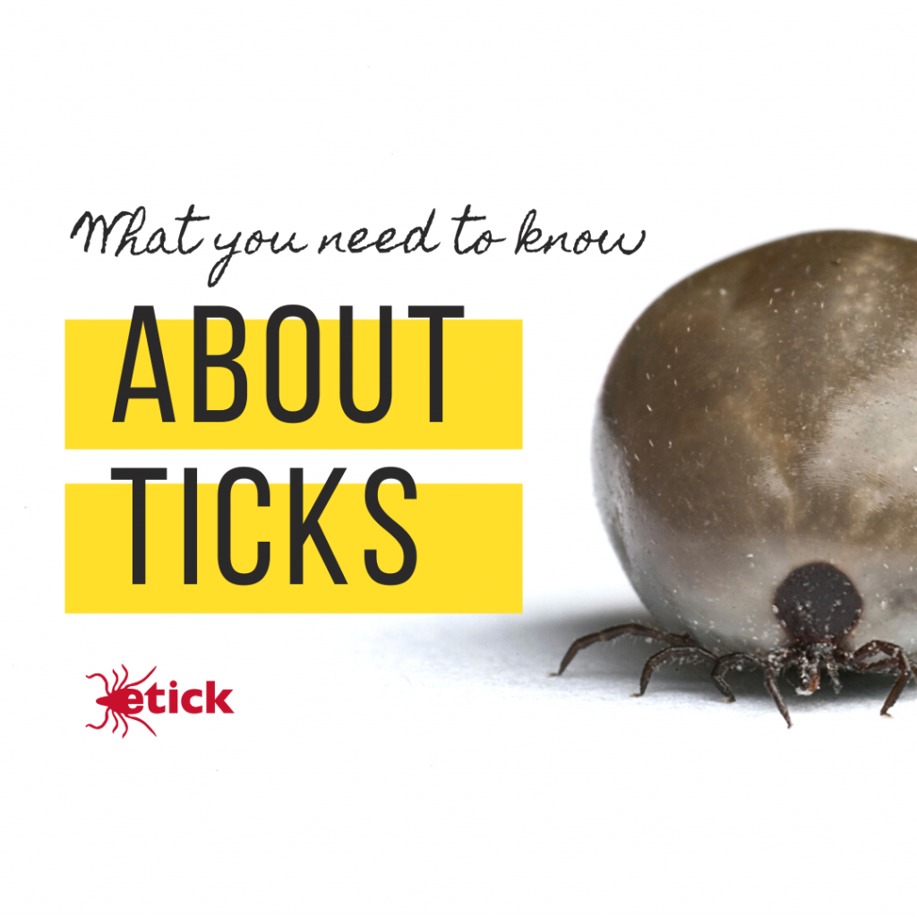 eTick - What You Need to Know About Ticks – Video